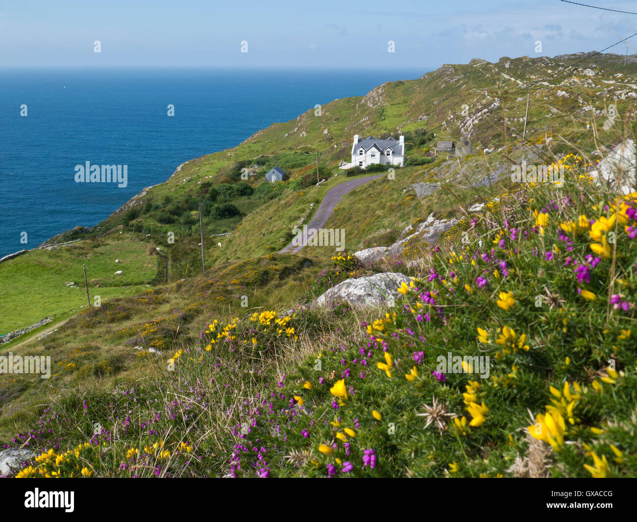 Remote Irish cottage Stock Photo - Alamy