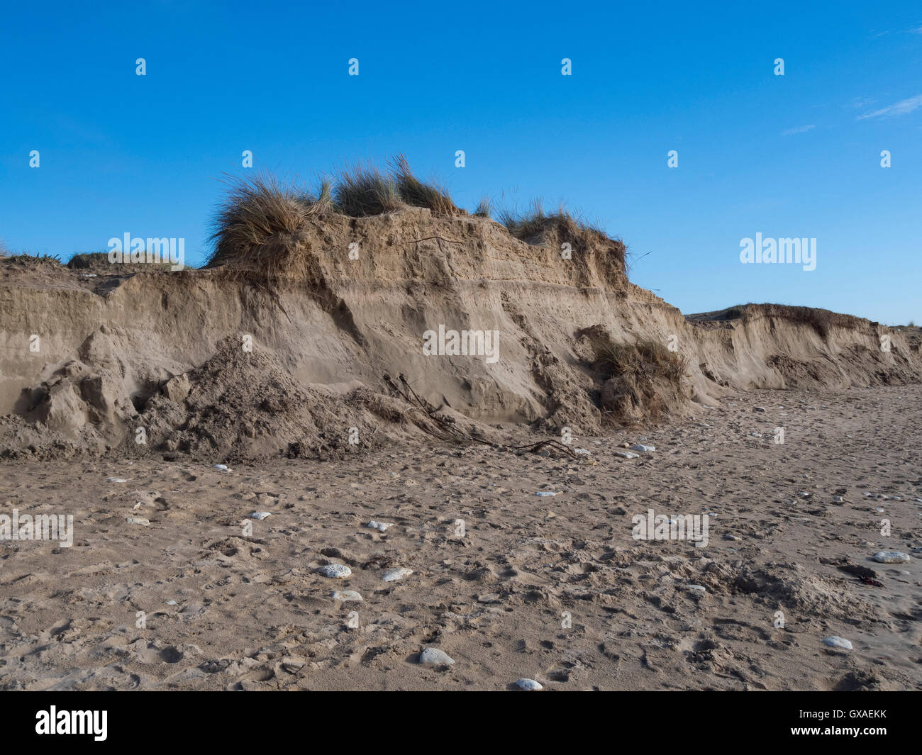 Destruction of coastal sand dune under the impact of storms Stock Photo ...