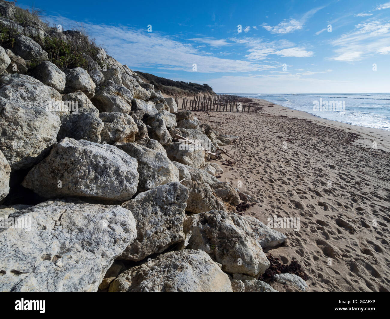 Attempt of protection of the coastal dune against the effect of storms ...