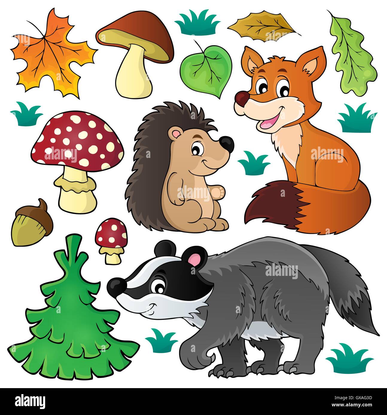 Forest wildlife theme set 1 - picture illustration Stock Photo - Alamy