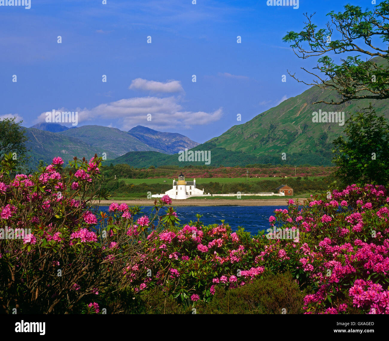 Corran Lighthouse on Loch Linnhe, Highland Region, Scotland, UK Stock ...