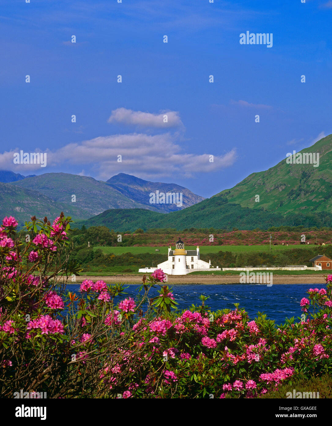 Corran ferry and lighthouse hi-res stock photography and images - Alamy