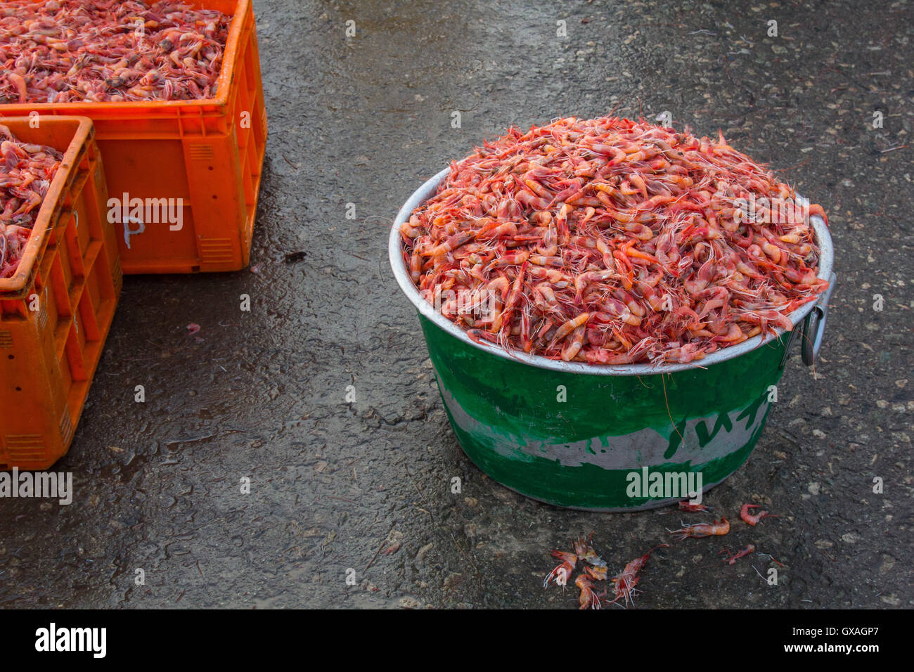 Shrimp baskets hi-res stock photography and images - Alamy