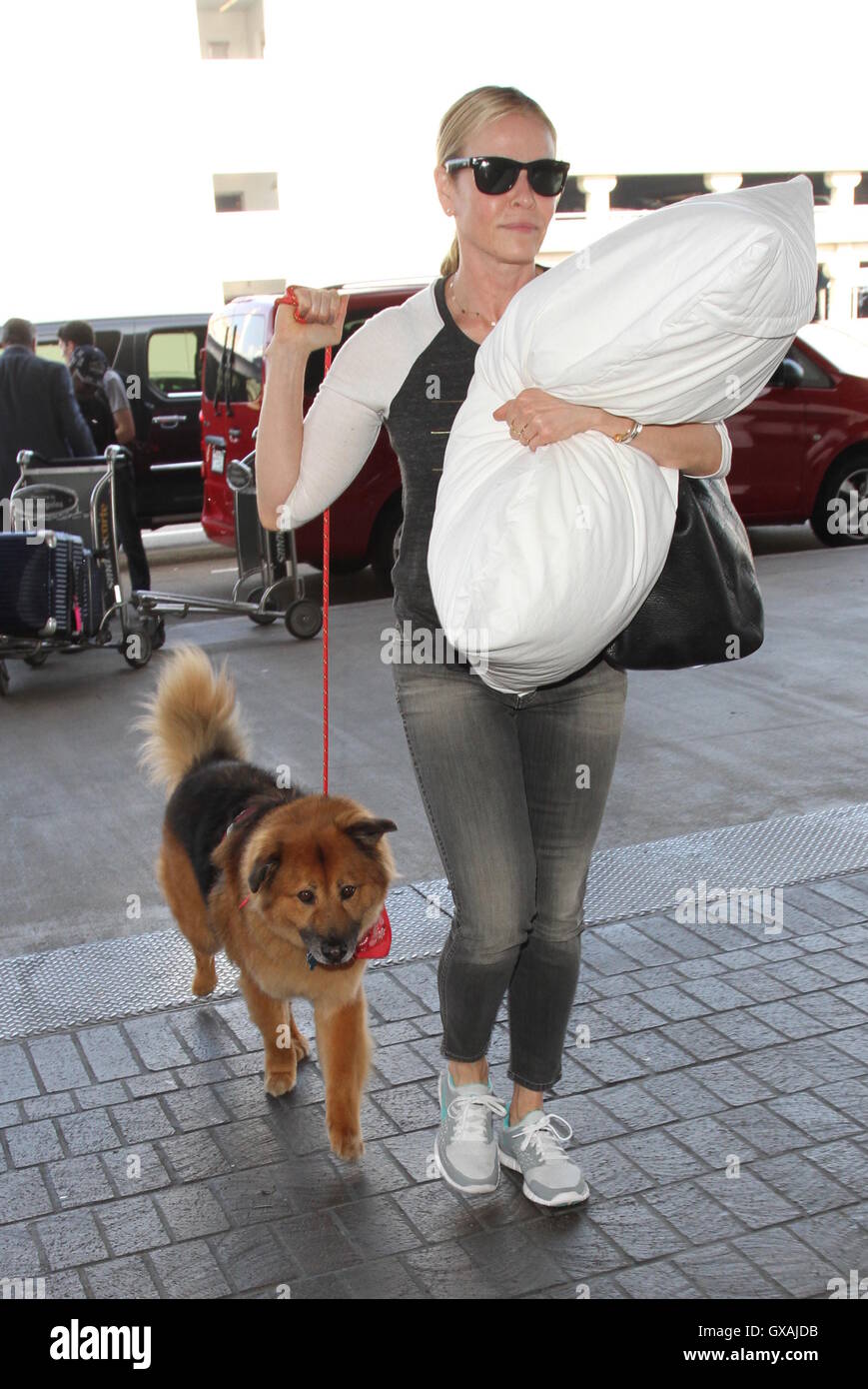 Chelsea Handler seen with her dog and carrying a white pillow as she ...