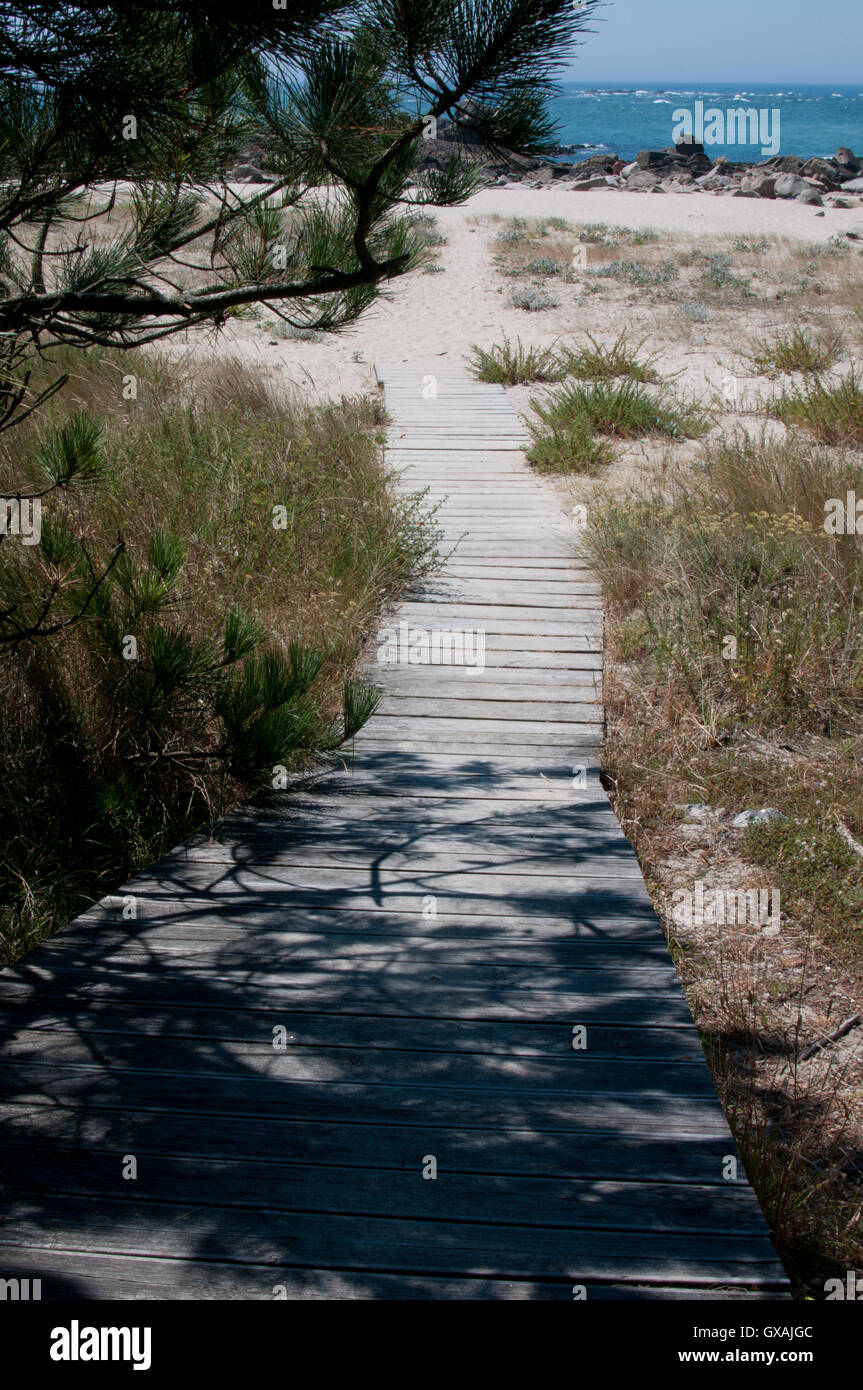 wooden boardwalk to beach Stock Photo - Alamy