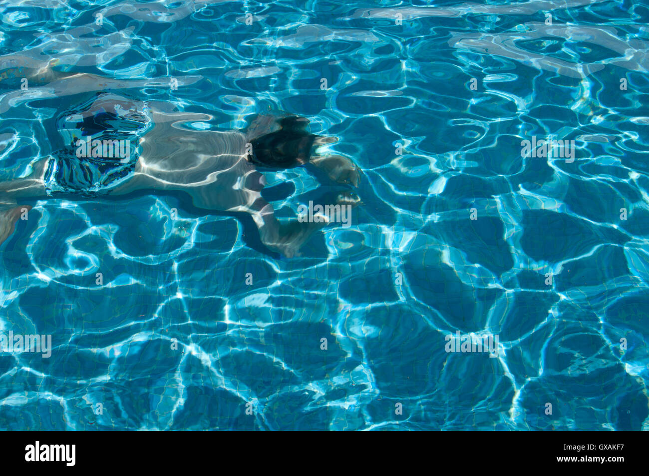 swimmer in pool Stock Photo - Alamy