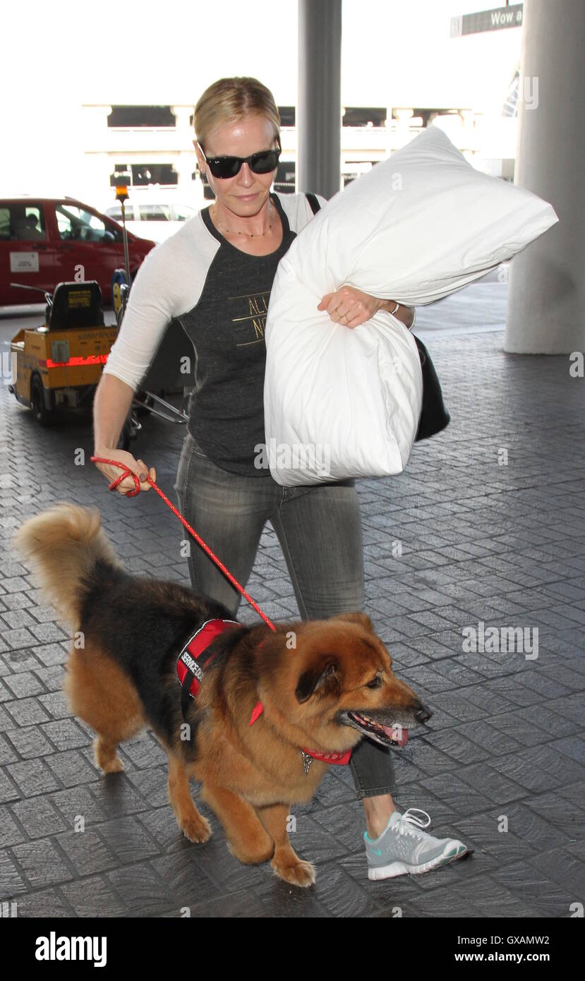 Chelsea handler dog hi-res stock photography and images - Alamy