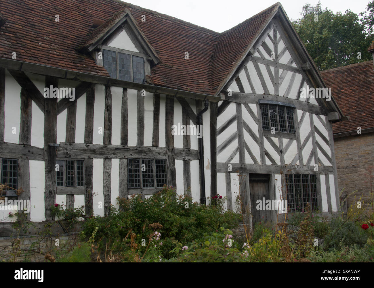 Tudor farm building hi-res stock photography and images - Alamy