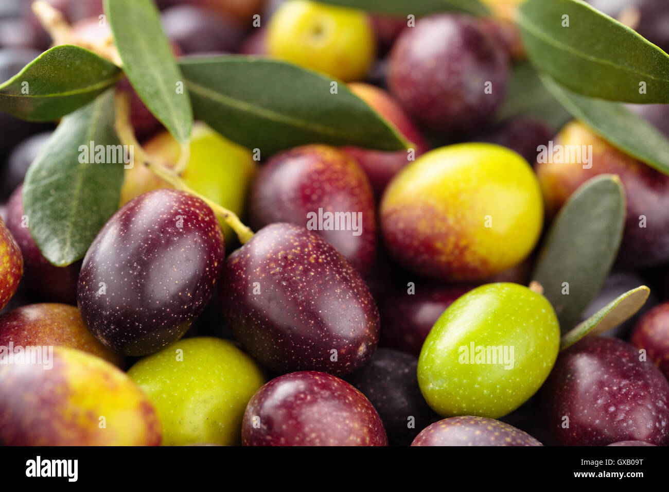 Background of fresh olives Stock Photo - Alamy