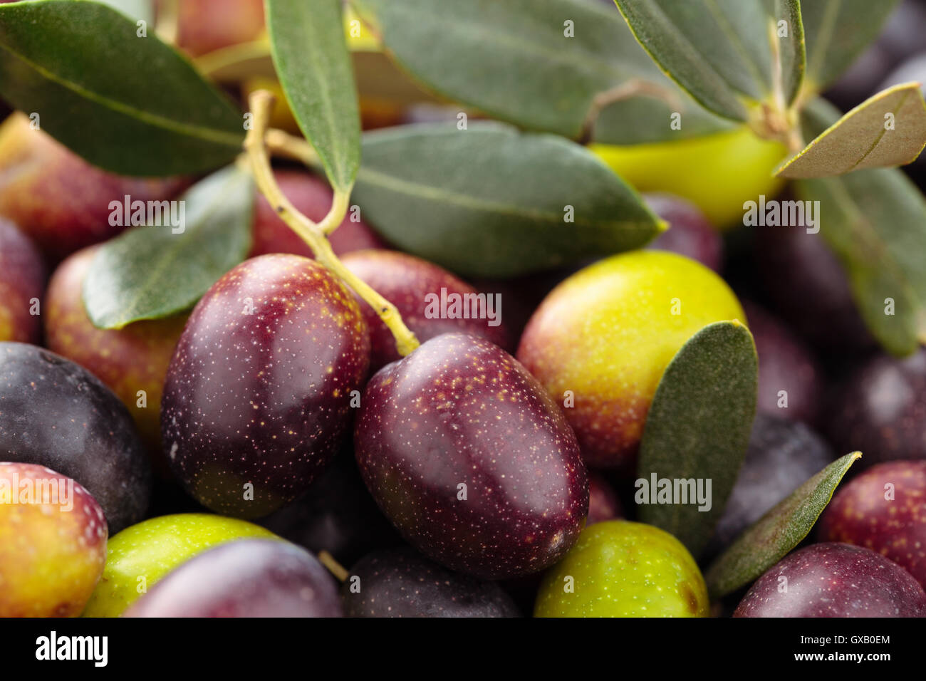 Background of fresh olives Stock Photo - Alamy