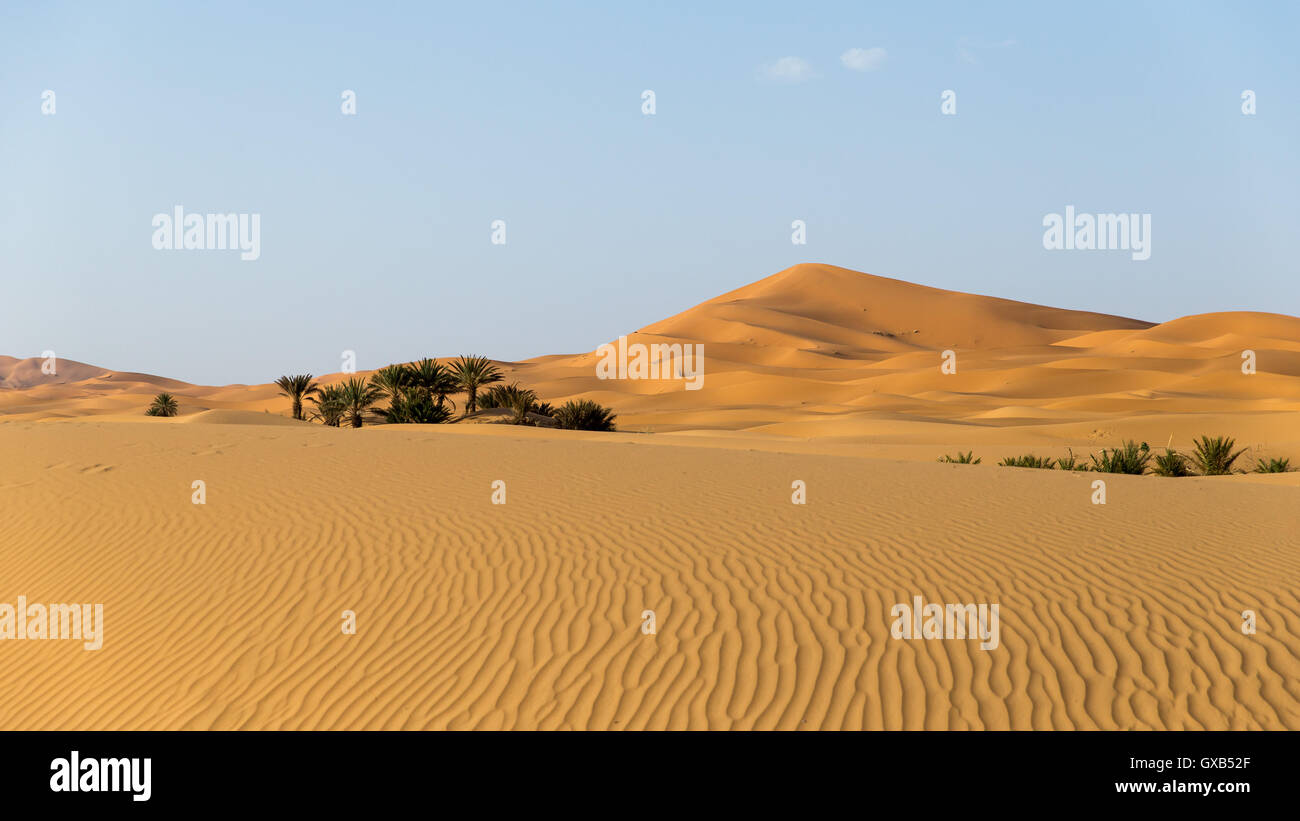 Desert sahara dust hi-res stock photography and images - Alamy