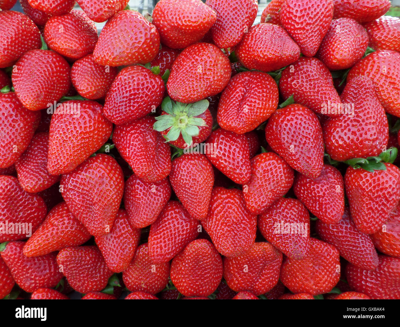 Pile of Strawberries Stock Photo - Alamy