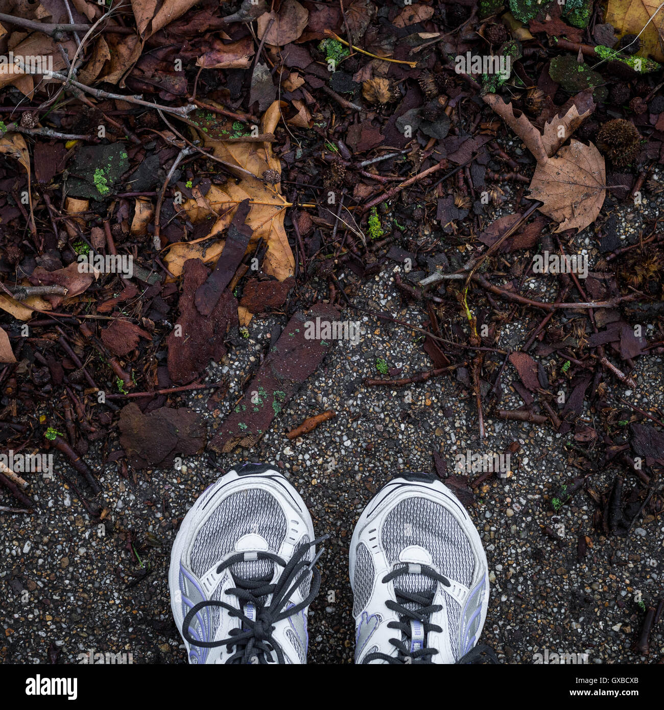 Underfoot hi-res stock photography and images - Alamy