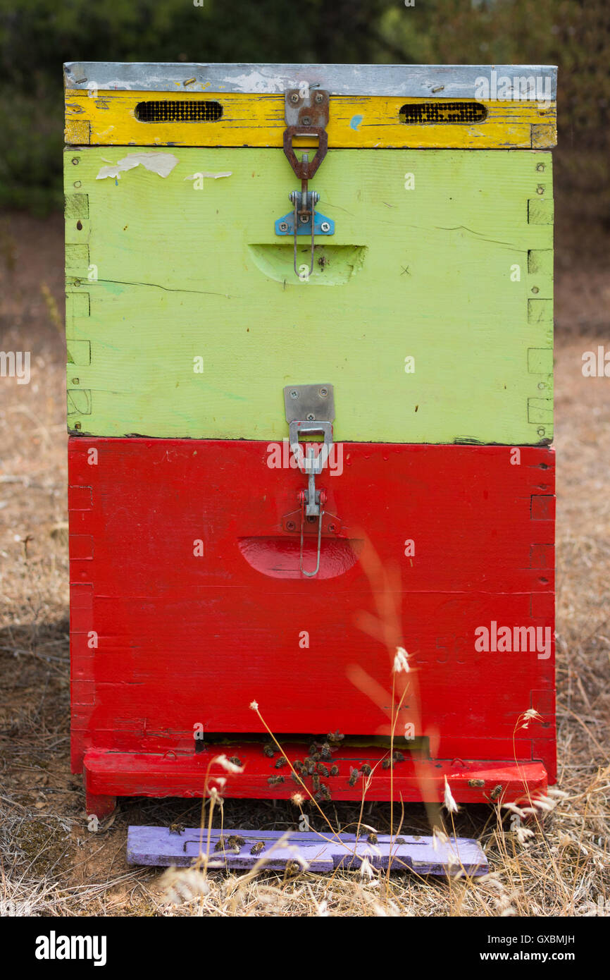 Colorful Honey Beehive in the Meadow Close Up. Red, Green and Yellow ...