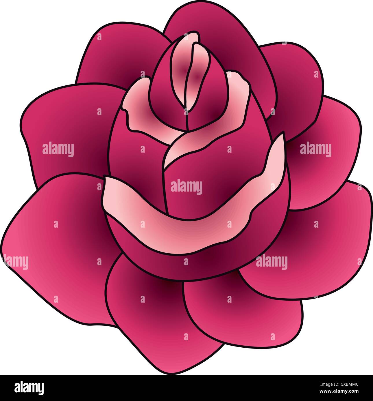 Isolated rose flower design Stock Vector Image & Art - Alamy