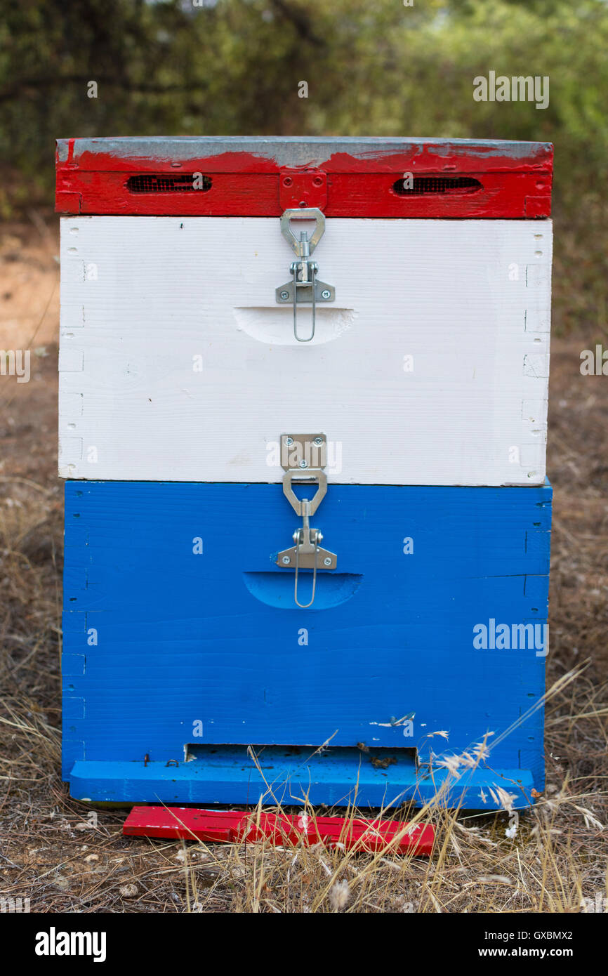 Colorful Honey Beehive in the Meadow Close Up. Blue, White and Red ...