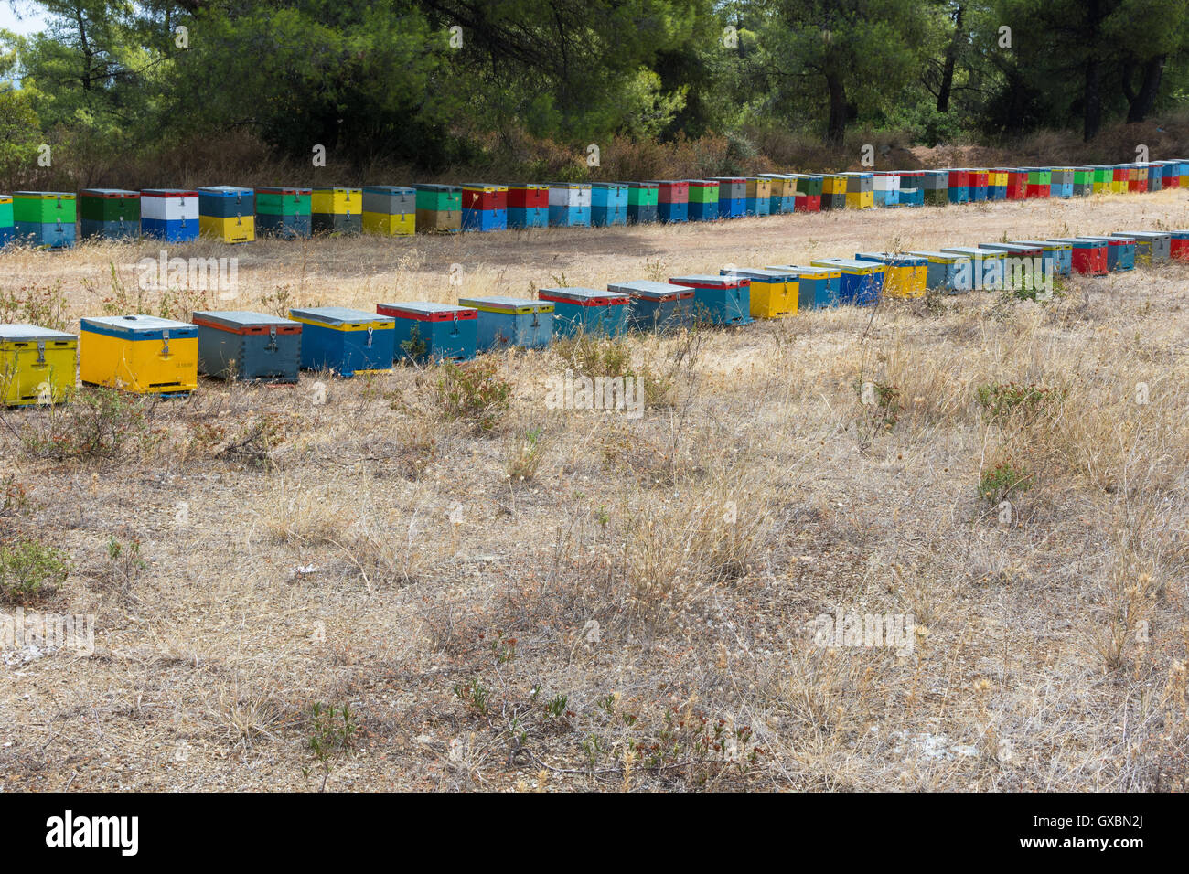 Colorfull bee hives hi-res stock photography and images - Alamy