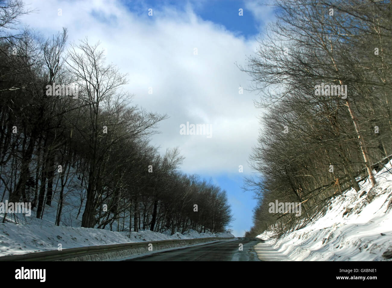 A road in winter with trees and snow to the sides Stock Photo - Alamy