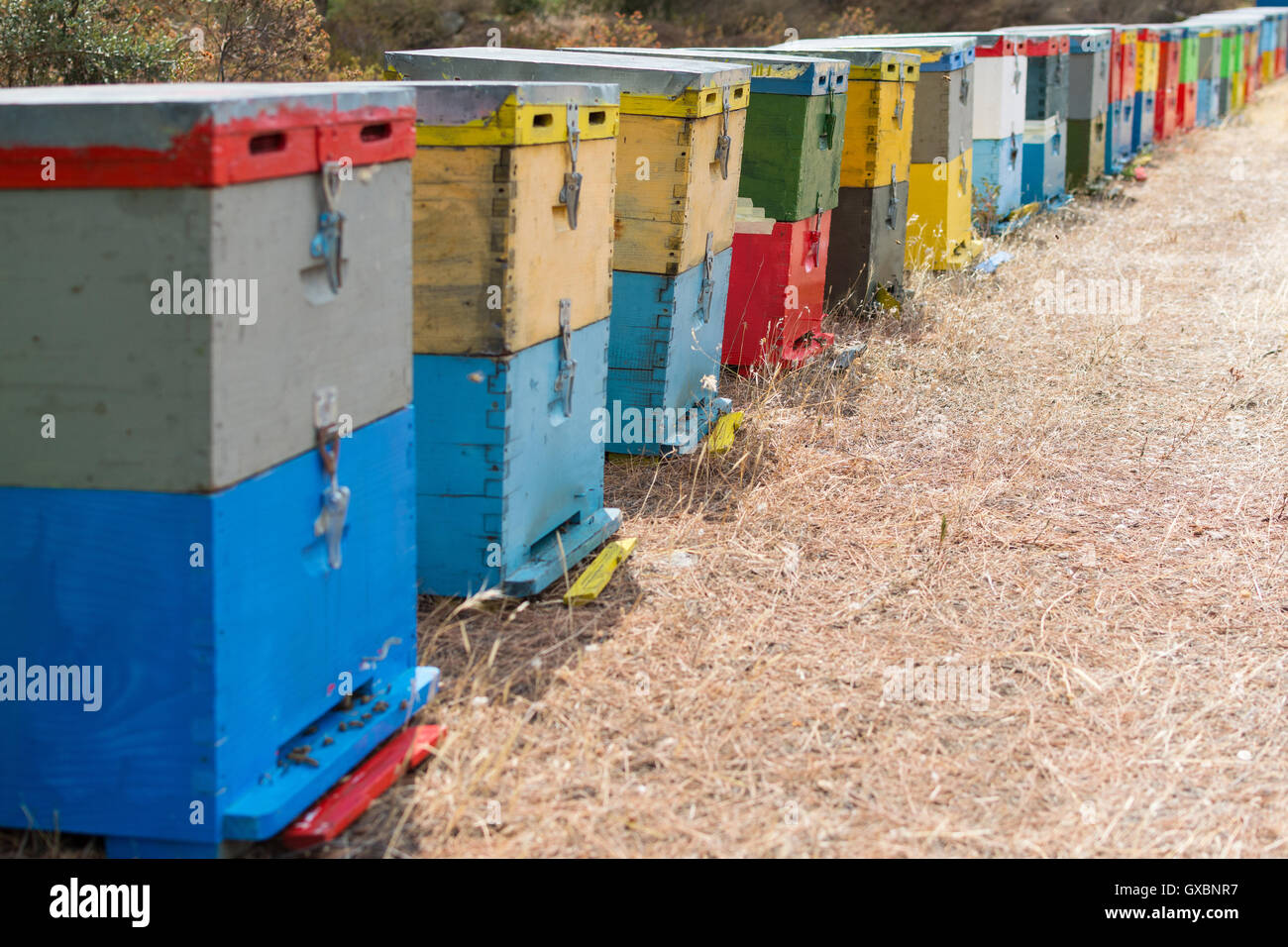 Colorfull bee hives hi-res stock photography and images - Alamy