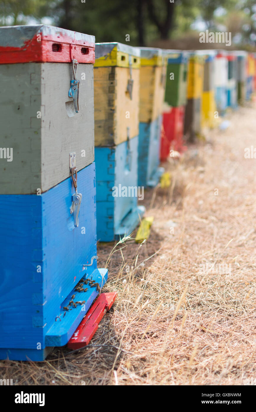 Colorfull bee hives hi-res stock photography and images - Alamy