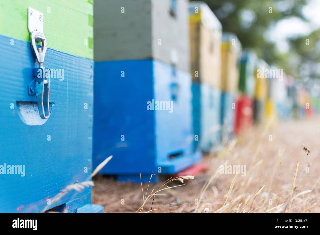 Colorfull bee hives hi-res stock photography and images - Alamy