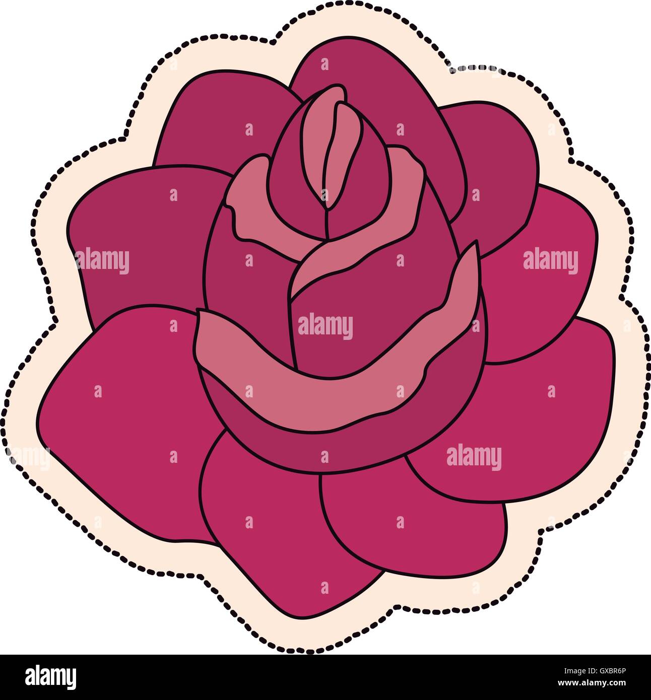 Isolated rose flower design Stock Vector Image & Art - Alamy