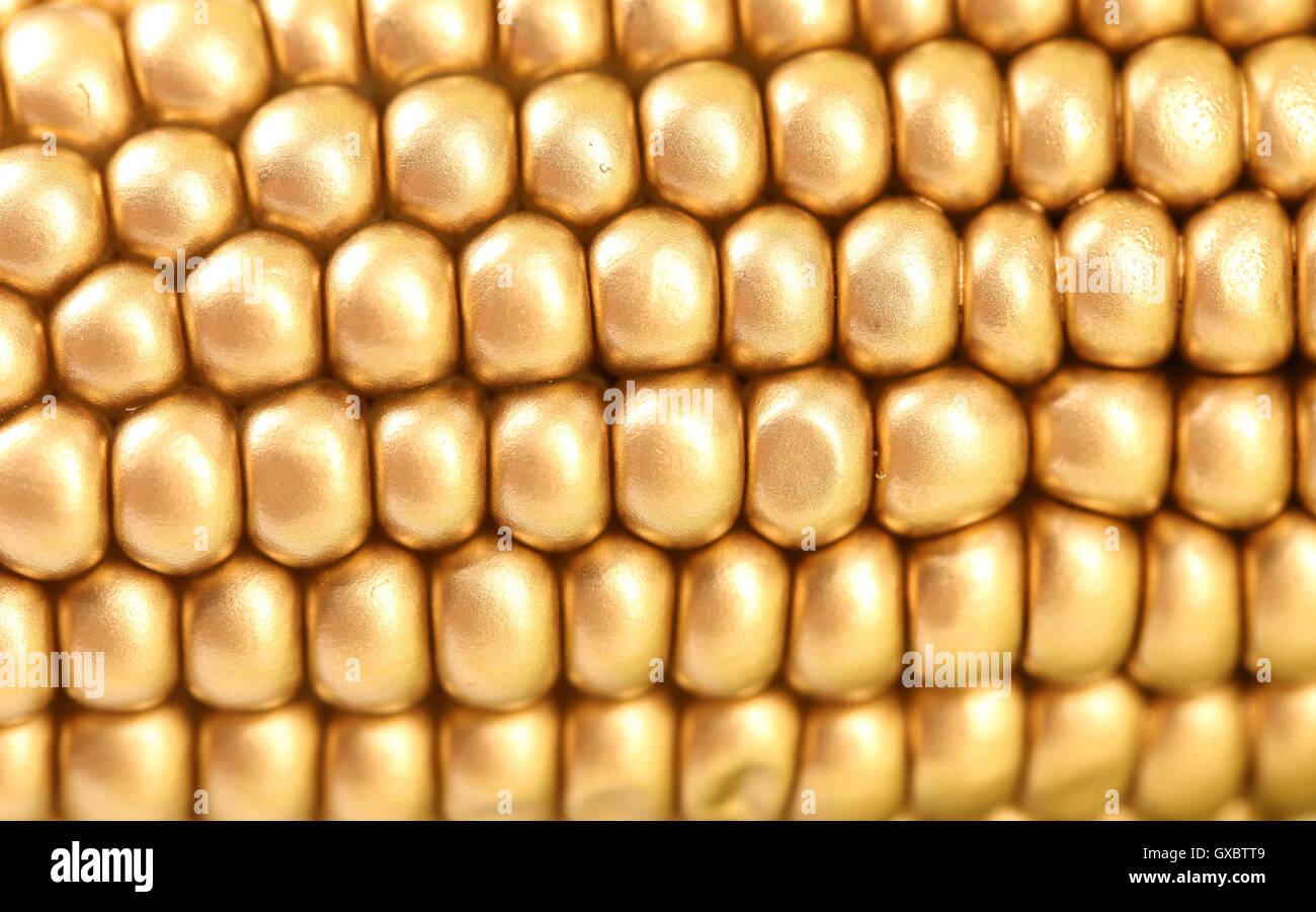 Background of golden indian corn Stock Photo - Alamy