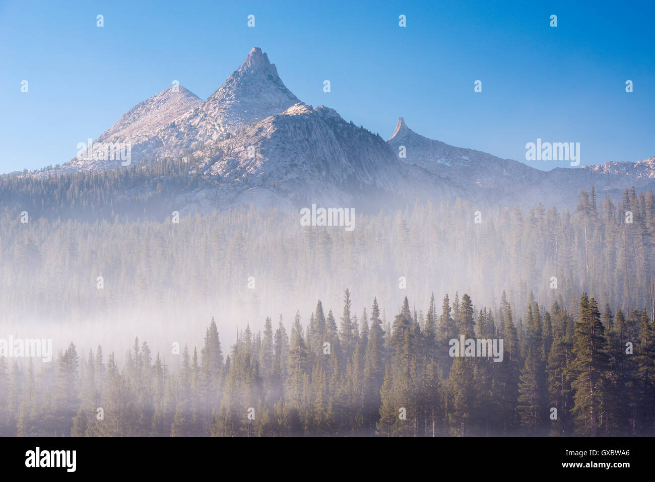 Unicorn Peak rising above a mist shrouded forest, Yosemite National ...