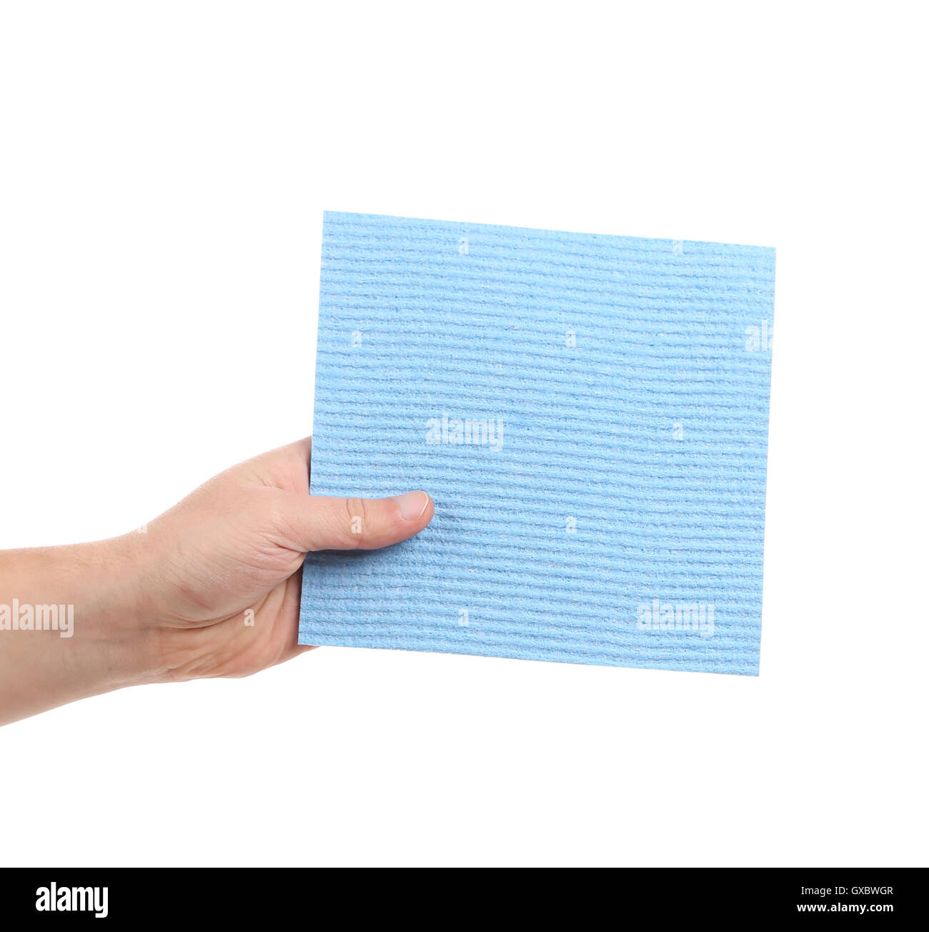 Hand holds blue cleaning sponge Stock Photo - Alamy