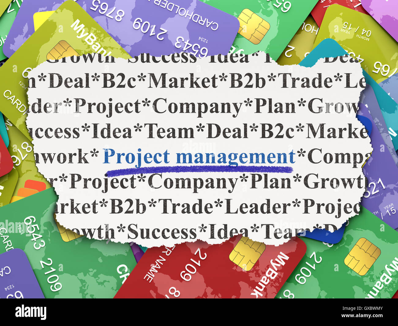Business concept: Project Management on Credit Card background Stock ...