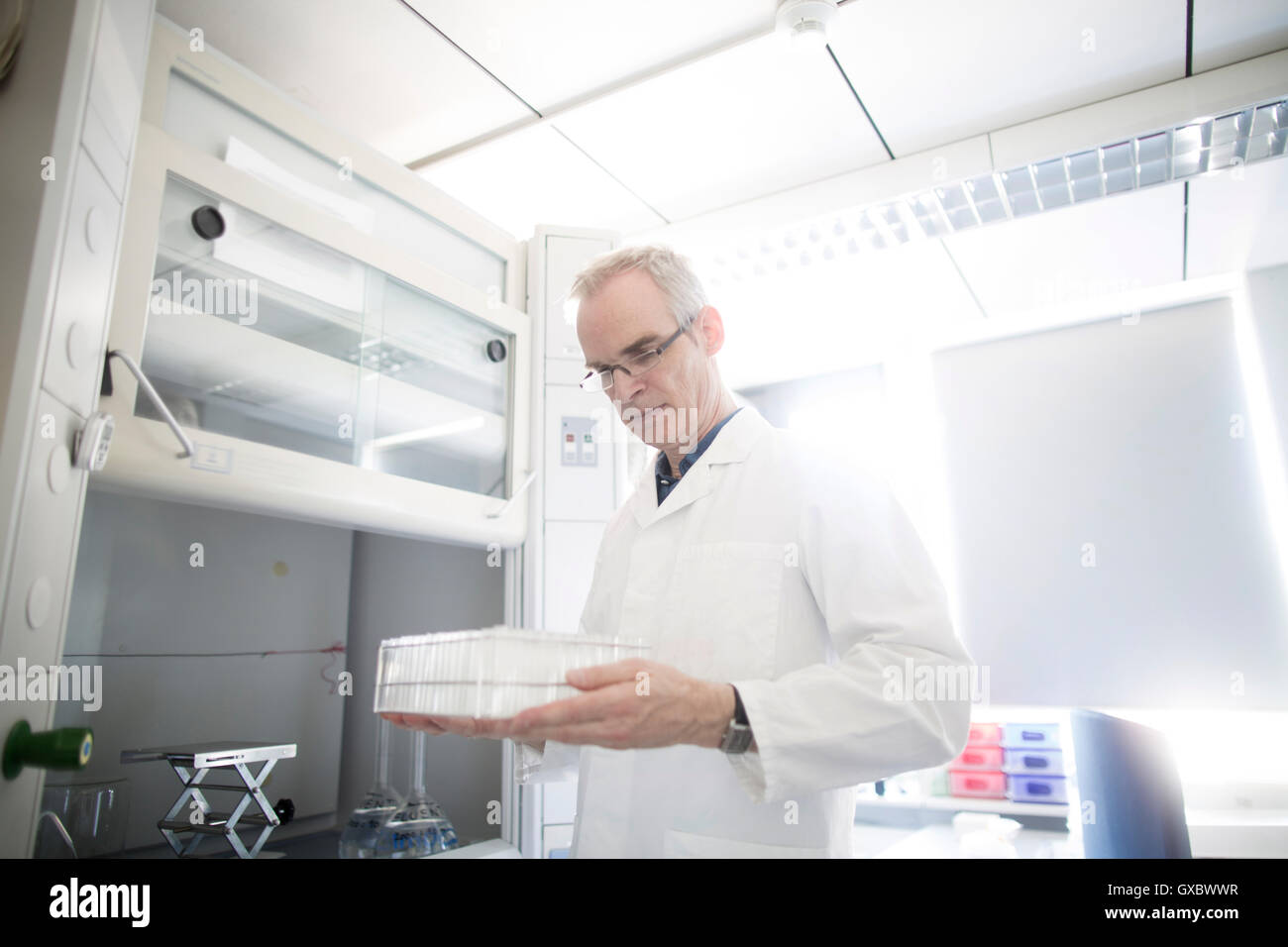 Male meteorologist examining test tube tray in weather station ...