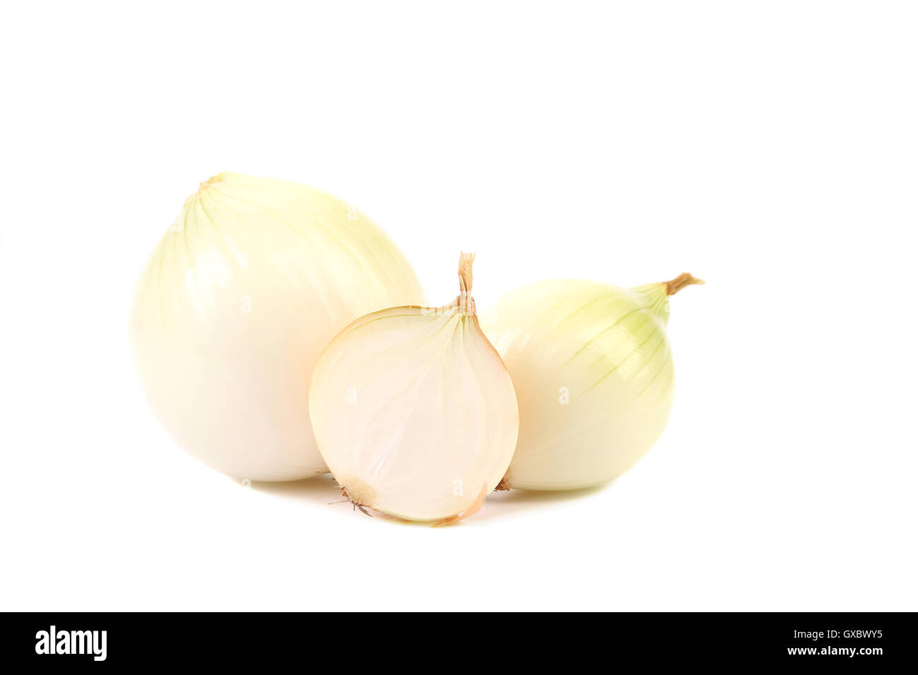 white onion isolated Stock Photo - Alamy