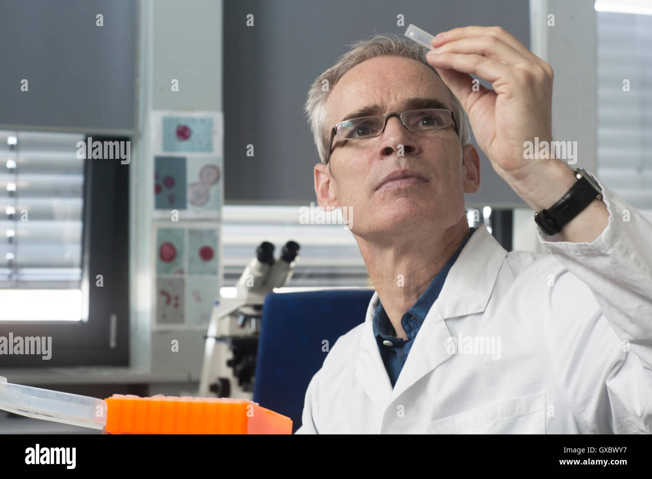 Male meteorologist examining microscope slide in weather station ...