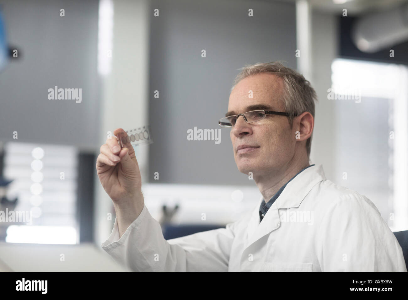 Male meteorologist examining microscope slide in weather station ...