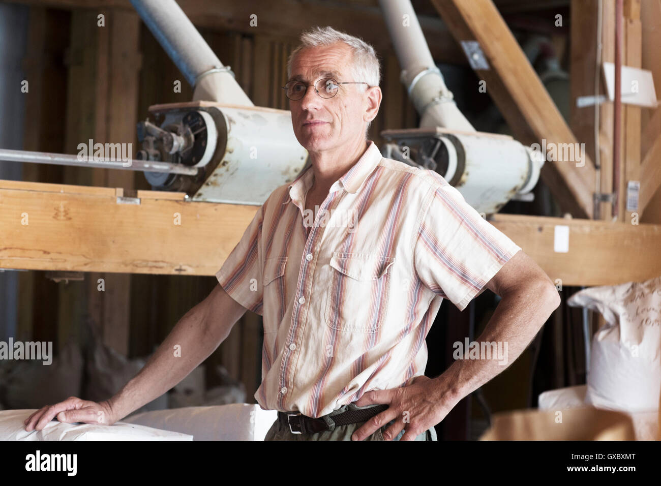 Male miller standing by machine in wheat mill Stock Photo - Alamy
