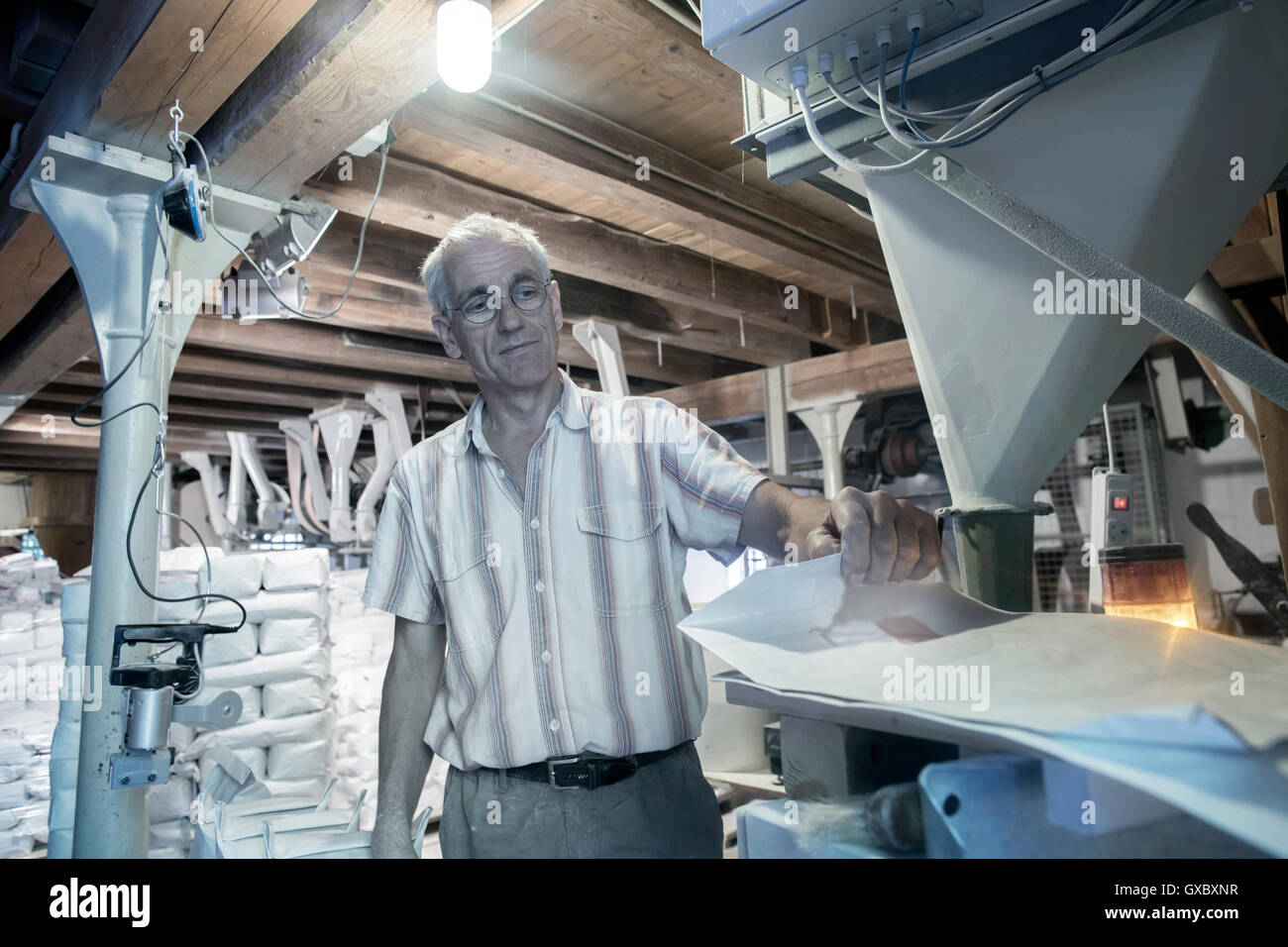 Male miller checking machine in wheat mill Stock Photo - Alamy