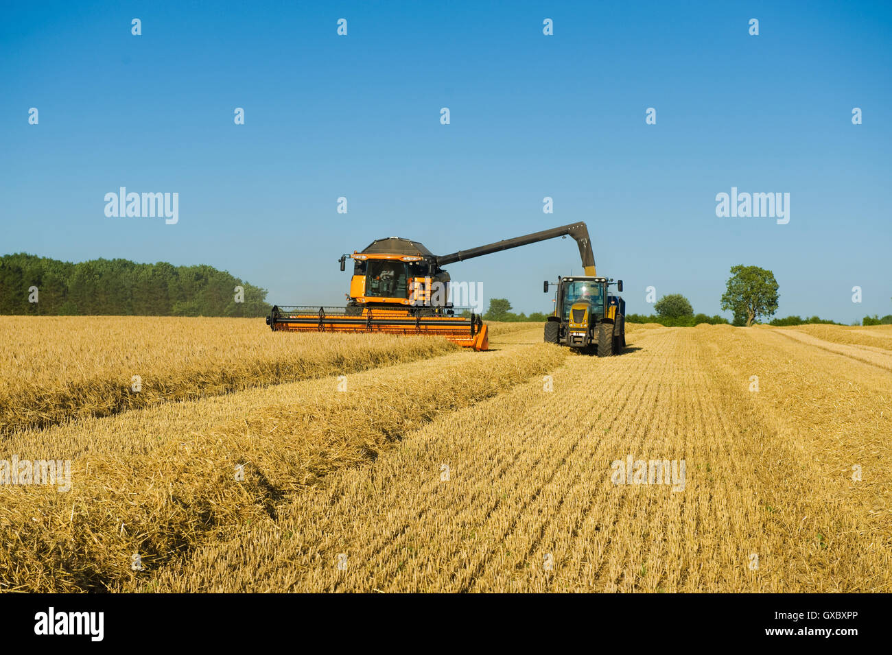 Harvesting wheat hi-res stock photography and images - Alamy