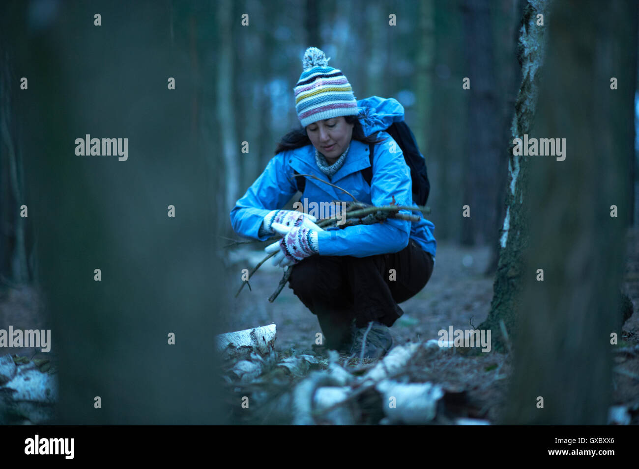 Female hiker collecting twigs in forest Stock Photo - Alamy