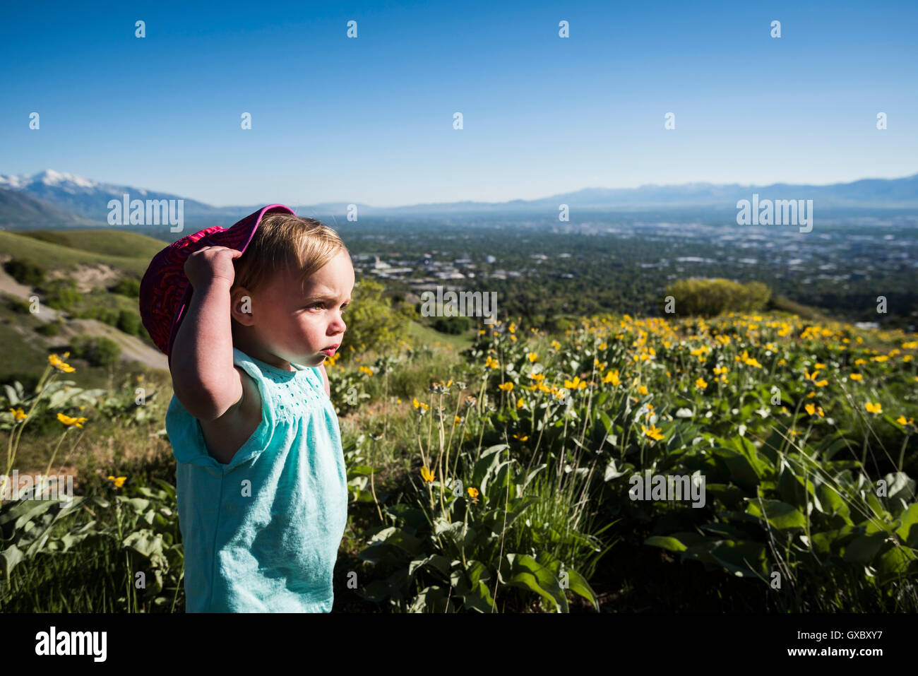 Young girl in field, Bonneville Shoreline Trail in the Wasatch ...