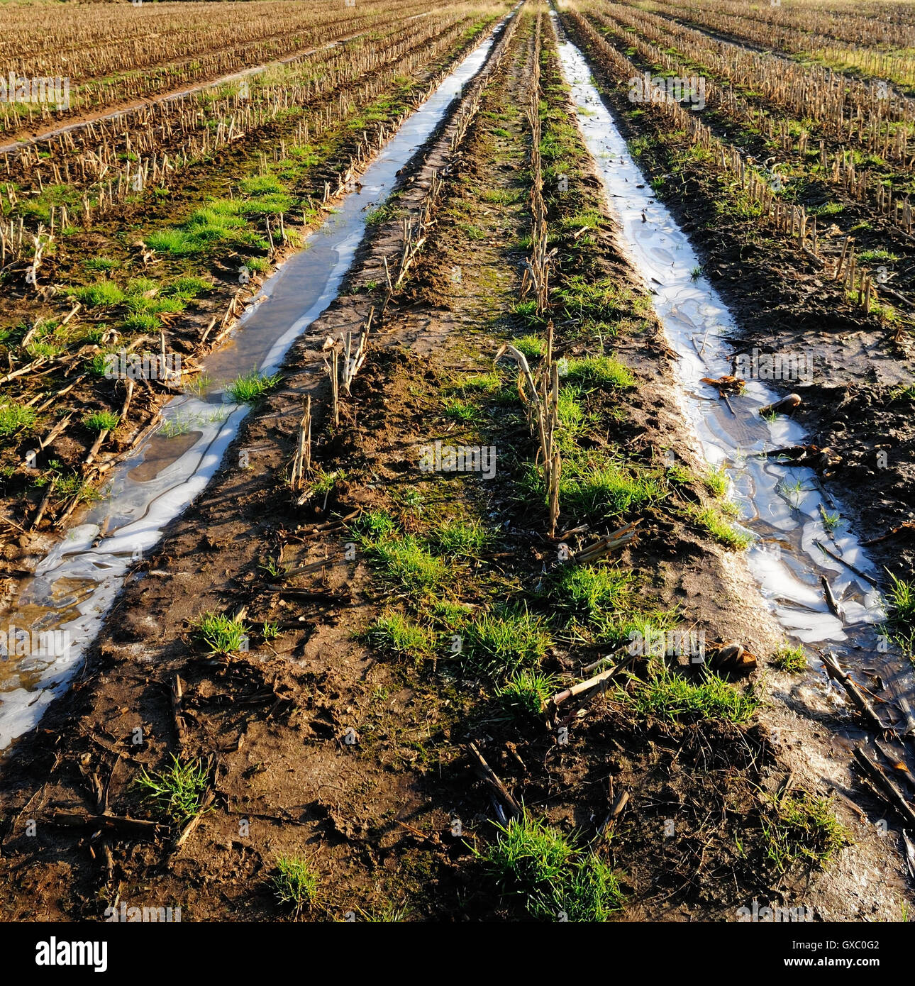 Parallel furrows hi-res stock photography and images - Alamy