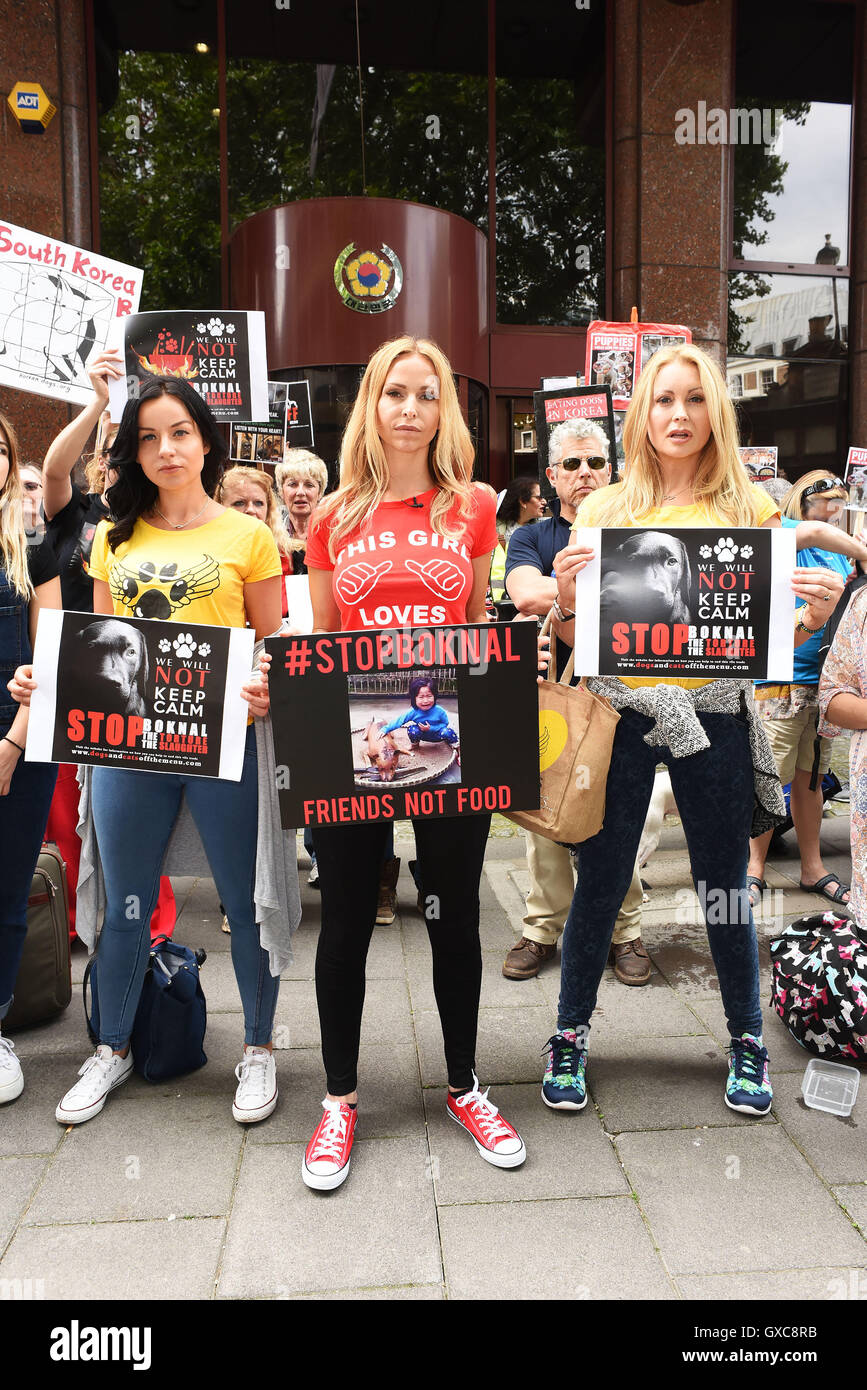 Dog Meat Protest Outside the Korean Embassy Featuring: Anneka svenska ...