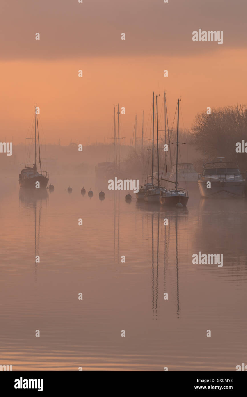 Sunrise at River Frome, Dorset Stock Photo - Alamy