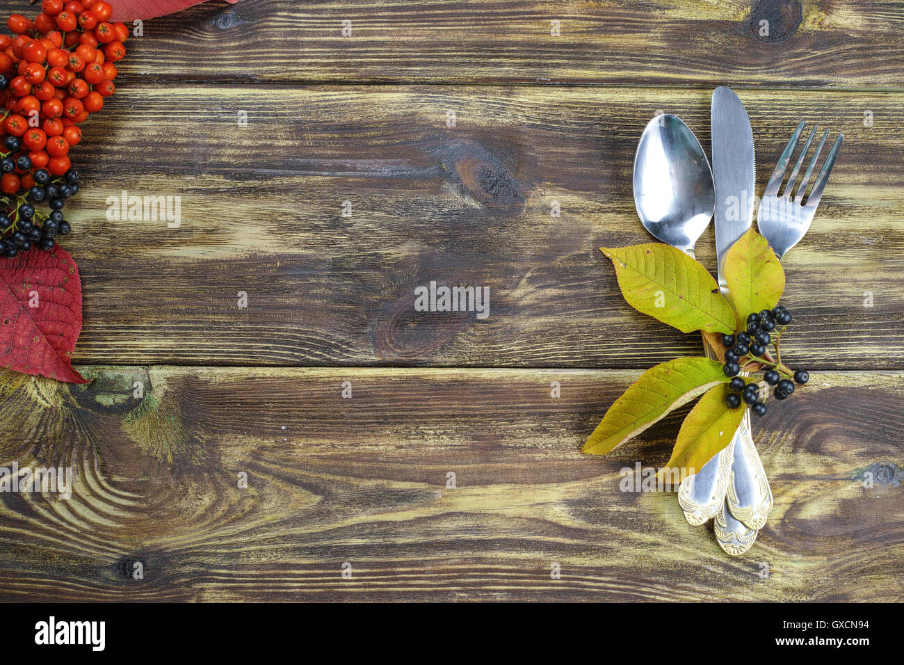 Autumn restaurant menu free text copy space with forest berries and ...