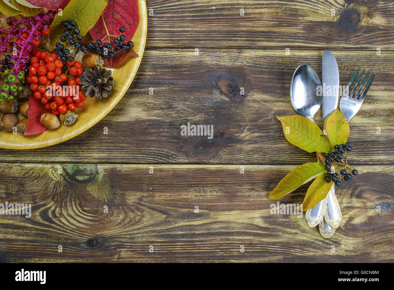 Autumn restaurant menu free text copy space with forest berries and ...