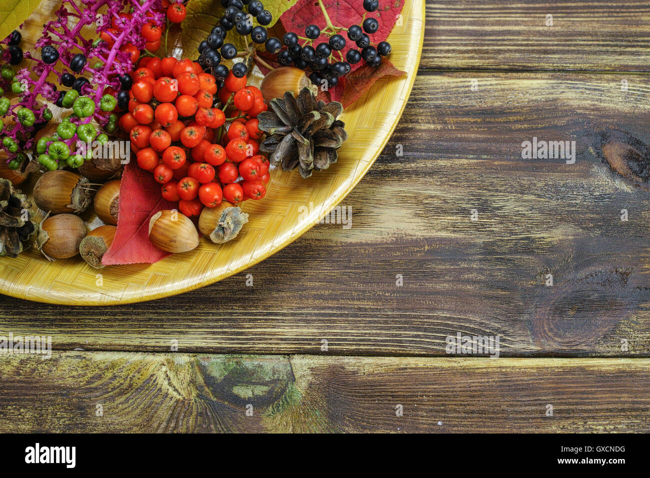 Autumn restaurant menu free text copy space with forest berries and ...