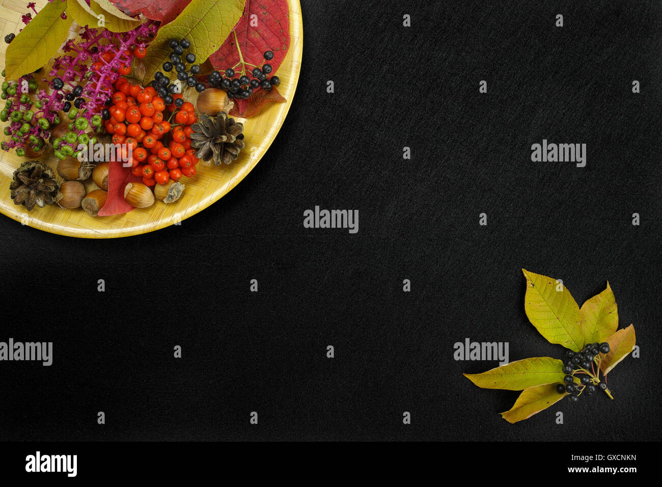 Autumn restaurant menu free text copy space with forest berries and ...