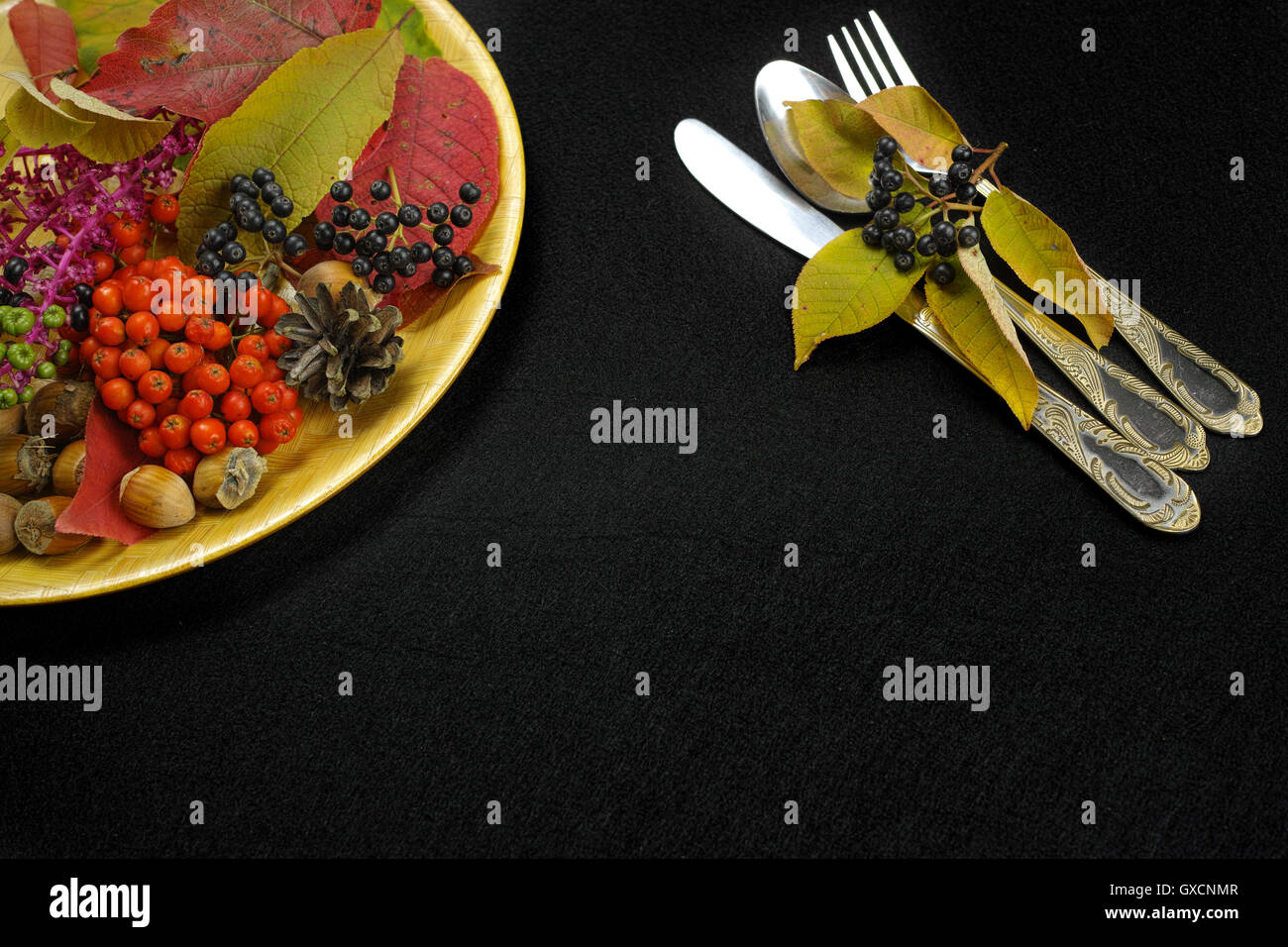 Autumn restaurant menu free text copy space with forest berries and ...