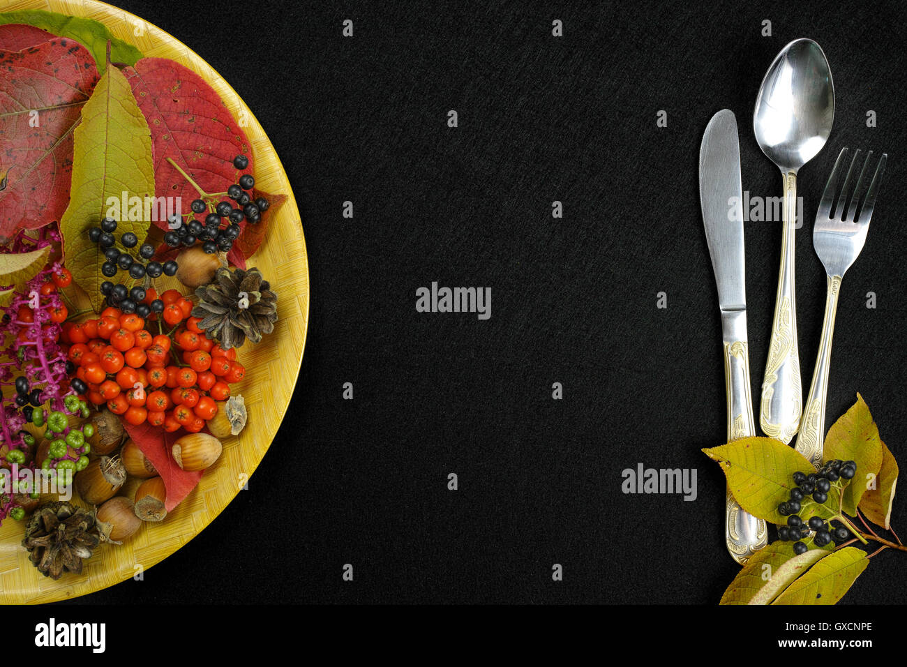Autumn restaurant menu free text copy space with forest berries and ...