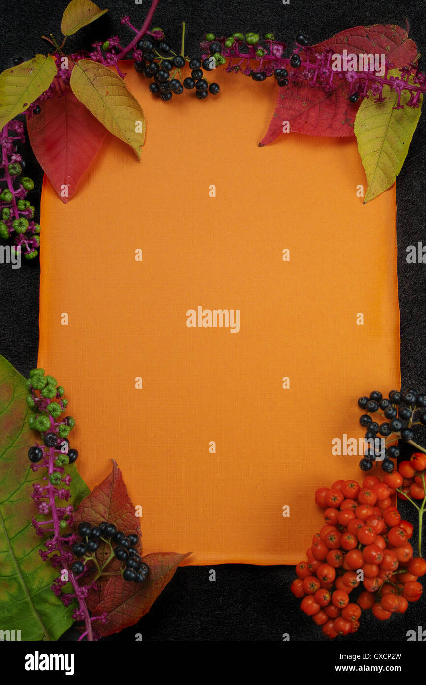 Autumn restaurant menu free text copy space with forest berries and ...