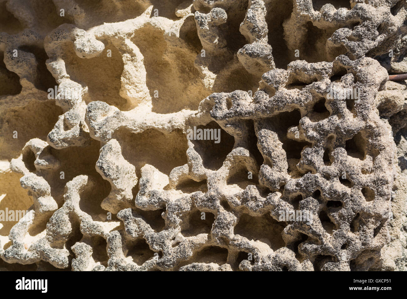Textured limestone rock with erosion sponge surface, Provence, France ...